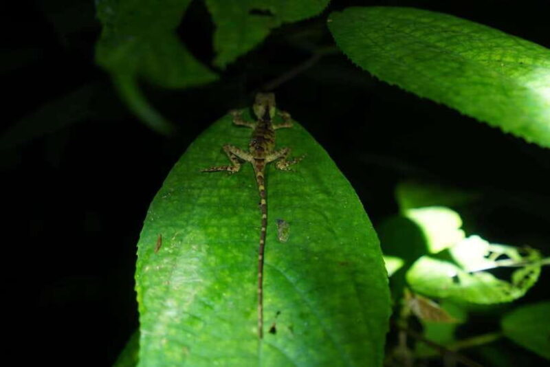 2-Day Cuc Phuong National Park Private Tour From Ha Noi - Frequently Asked Questions