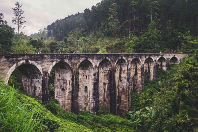 2-Day Ella and Yala Safari: Tour Tour from Colombo - Key Points