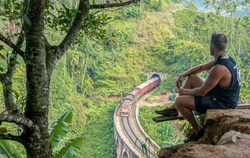 2-Day Ella and Yala Safari: Tour Tour from Colombo - Who Should Consider This Tour?