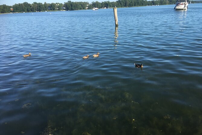 2-day excursion to Bad Saarow - Who should consider this tour?