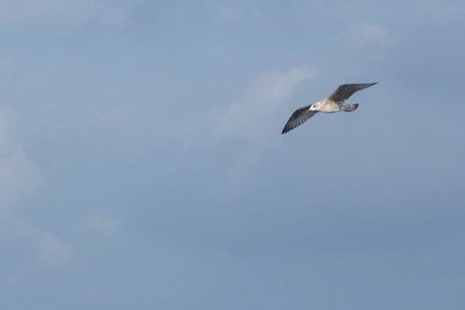 2-Day Excursion to the Columbretes Islands by Sailboat - FAQ