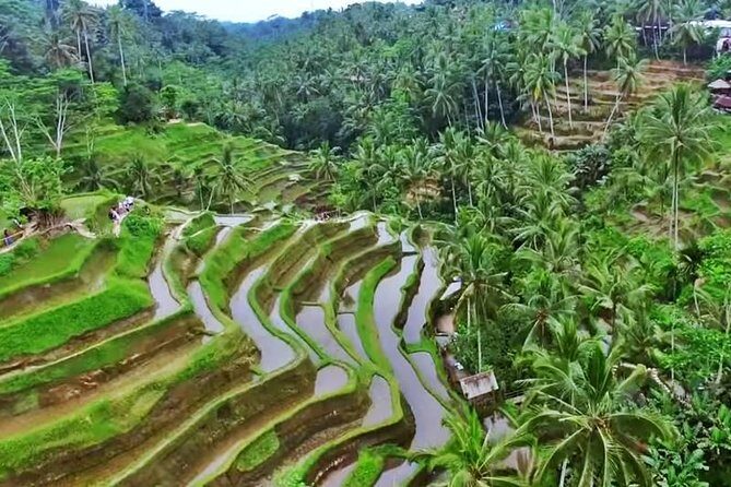 2-Day Experience Bali: Most Popular Tour - An In-Depth Look at the 2-Day Bali Tour