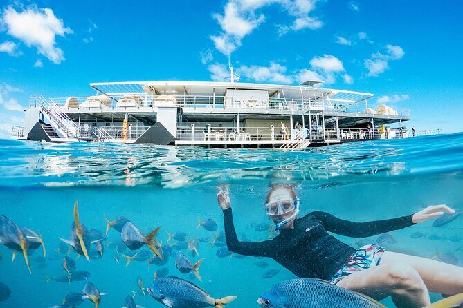 2-Day Great Barrier Reef: Reefsleep Experience - An In-Depth Look at the Reefsleep Experience