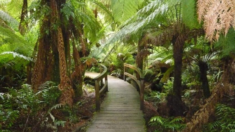 2 Day Great Ocean Road Small Group Tour - Key Points