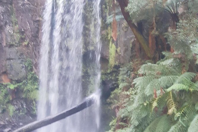 2 Day Great Ocean Road Tour and Platypus paddle - Final Thoughts