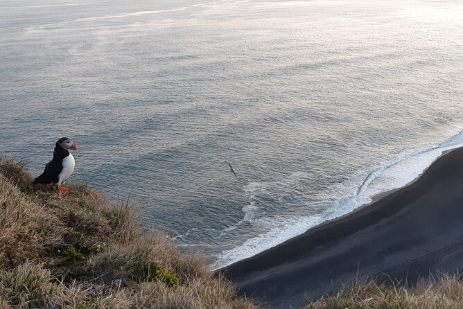 2-Day Highlights of Iceland | Intro to the Land of Ice and Fire - Culinary Delights: Geothermal Baking and Local Cuisine