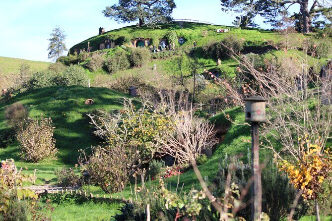 2-Day Hobbiton, Rotorua, Waitomo Caves Tour from Auckland with Accommodation - What Does the Tour Mean for You?