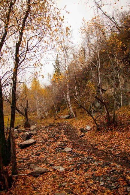 2 Day Horse trekking in Terelj national park - Key Points