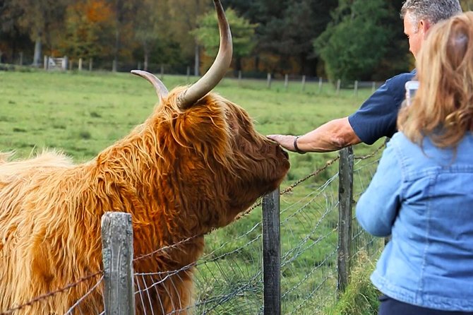 2-Day Jacobite Experience including the Hogwarts Express from Edinburgh - Who Is This Tour Best For?