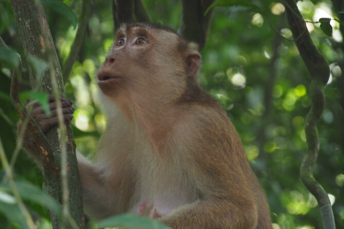 2-Day Jungle Trekking & Rafting in North Sumatra - Who Should Consider This Tour?