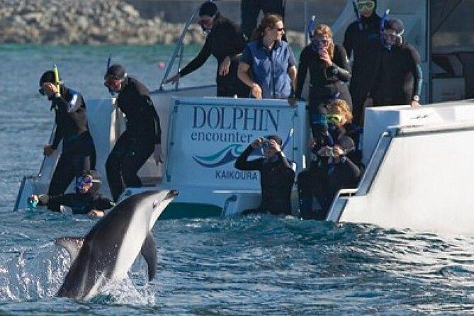 2 Day Kaikoura Whale and Dolphin Tour from Christchurch - A Practical Look at the 2-Day Kaikoura Experience