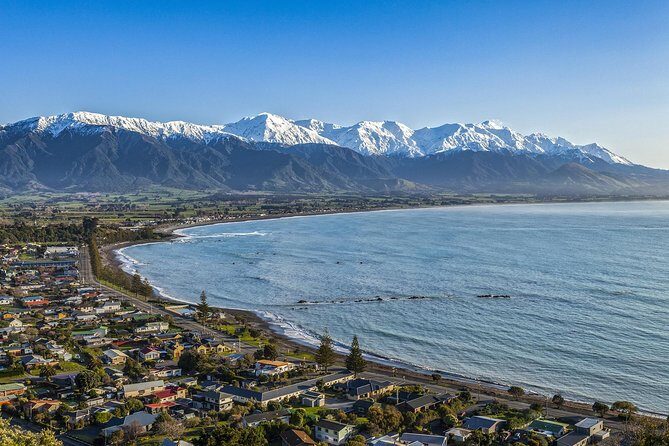 2 Day Kaikoura Whale and Dolphin Tour from Christchurch - The Sum Up