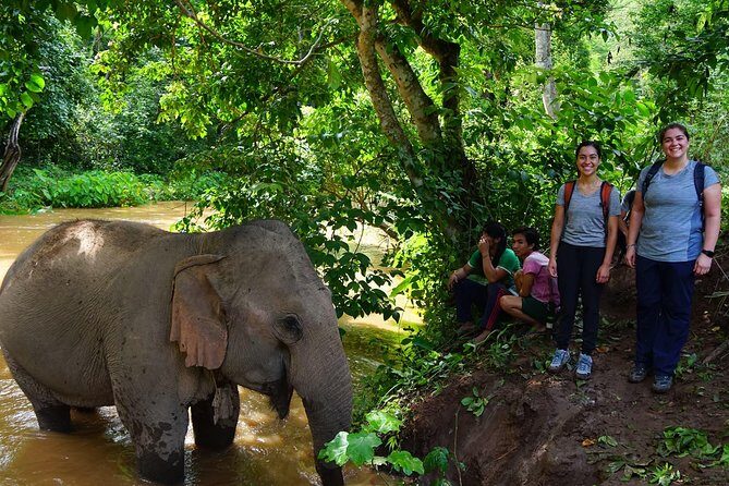 2-Day Kindred Spirit Elephant Sanctuary in Chiang Mai - Introduction: What’s on Offer
