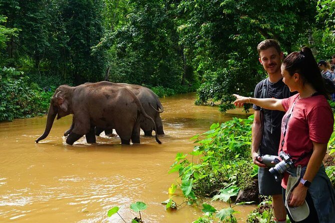 2-Day Kindred Spirit Elephant Sanctuary in Chiang Mai - FAQ