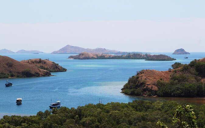 2-Day Komodo National Park and Rinca Island Wildlife Adventure from Bali - Discovering the Komodo National Park 2-Day Adventure: An Authentic Wildlife Experience