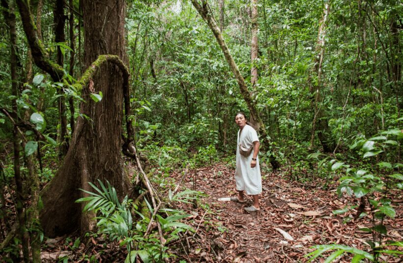2 Day Lacandon Jungle, the Lost City and Bonampak Ruins - A Balanced Look at the Itinerary and Highlights