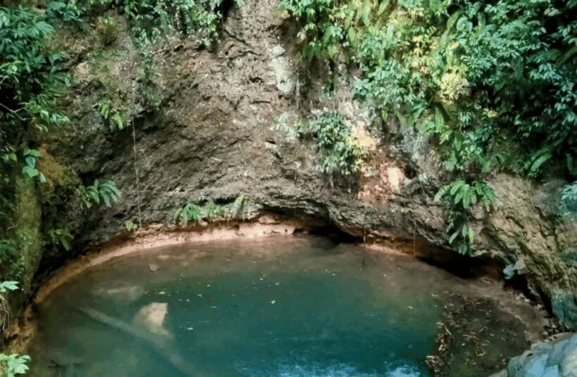 2 Day Lacandon Jungle, the Lost City and Bonampak Ruins - Who Should Consider This Tour?