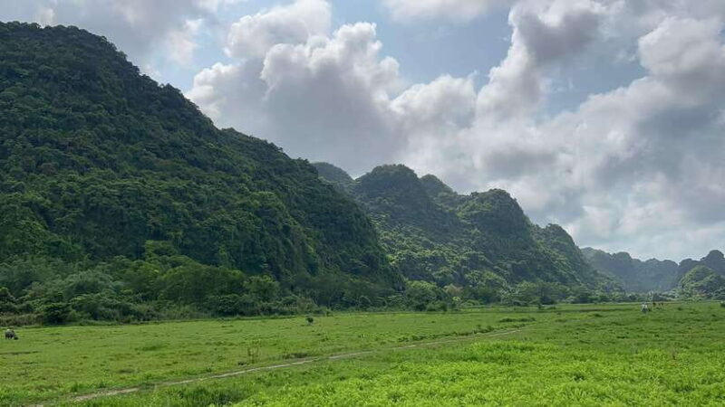 2-Day Lan Ha and Cat Ba Cruise Tour By 3 Star Cruise Ship - Who This Tour Will Suit