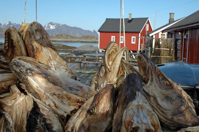 2-Day Lofoten Highlights Photo Tour (Summer) - Why This Tour Offers Great Value