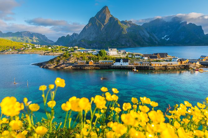 2-Day Lofoten Highlights Photo Tour (Summer) - Final Thoughts