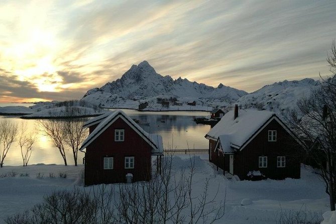 2- Day Lofoten Highlights Photo Tour (Winter) - Inclusions and What to Expect