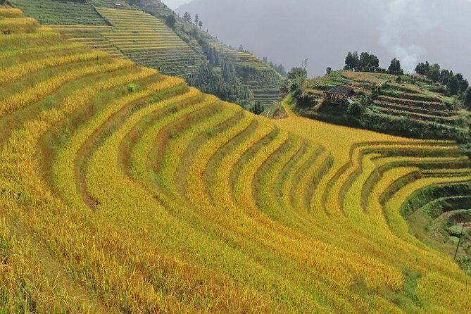 2 Day Longsheng Hot Spring Private Tour Combo Package - The Practical Side: Timing, Comfort, and Value