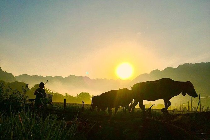 2-day Mai Chau and Pu Luong with round trip transfer from Hanoi - An In-Depth Look at the 2-Day Itinerary