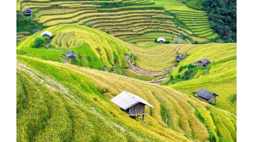 2-Day Mai Chau Valley Tour from Hanoi - Day 2: Trekking and Village Life in the Remote Countryside