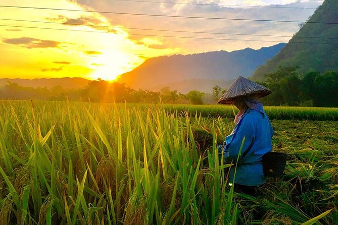 2-Day Mai Chau Valley Tour from Hanoi - FAQ