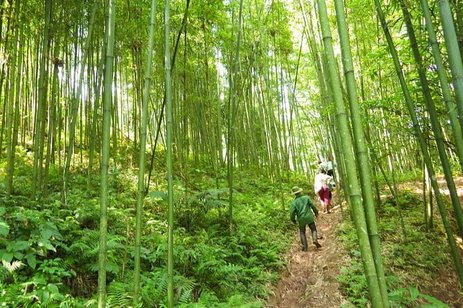 2-day Mai Chau Visit and Da River Boat Trip with round trip from Hanoi - FAQ