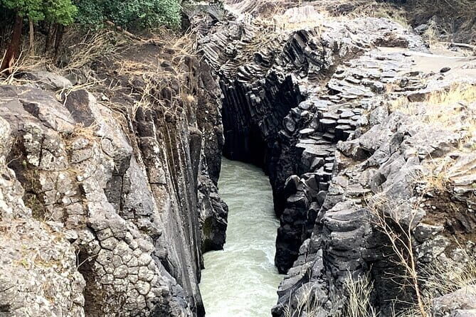 2-Day Minibus Tours to Aso and Kumamoto, Takachiho from Fukuoka - What Travelers Say and What It Means for You