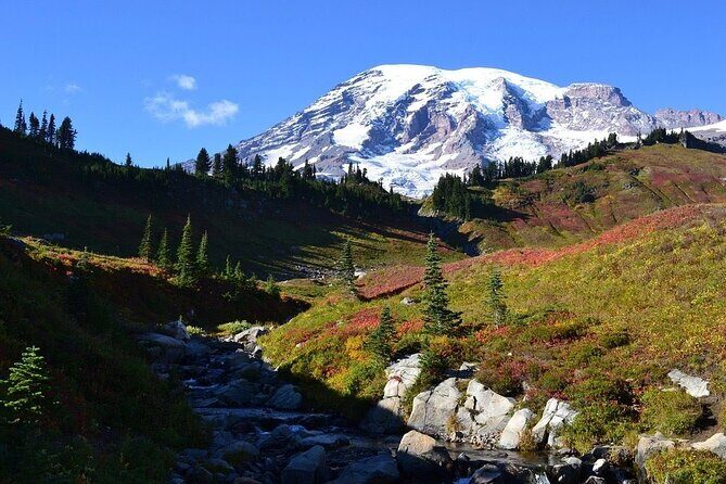 2 Day Mt Rainier All-Inclusive Small Group Tour - An In-Depth Look at the 2-Day Mount Rainier Experience