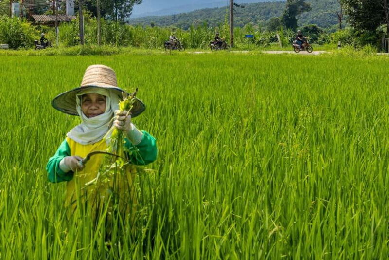 2 day overnight adventure off road scooter tour; Amaz views - Key Points