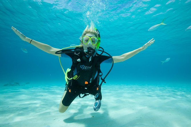 2 Day PADI Scuba Diver Course in Puerto Rico, Gran Canaria - An In-Depth Look at the Grandeur of Gran Canaria’s Underwater World