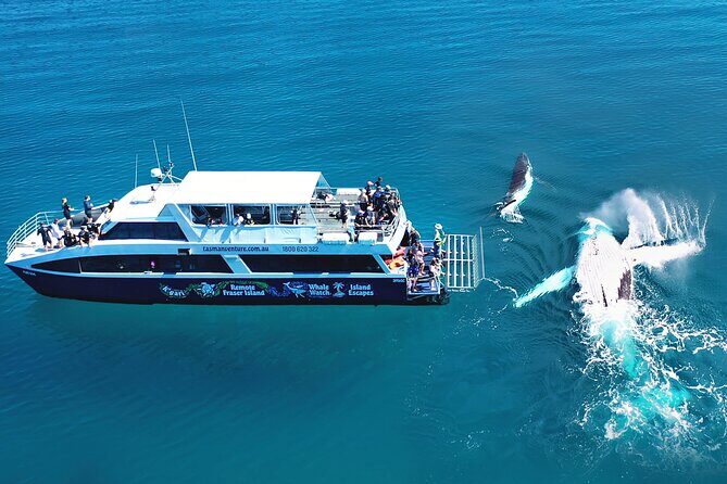 2 Day PINK4WD Tagalong Tour - K'gari/Fraser Island - Who Will Love This Tour?