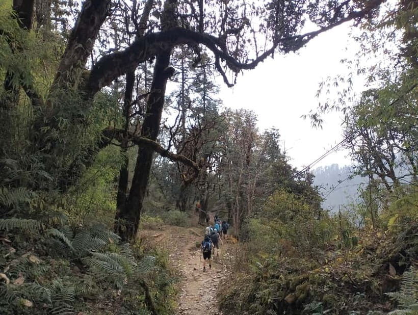 2-Day Poon Hill Hike: Catch the Best Sunrise in Nepal - FAQs