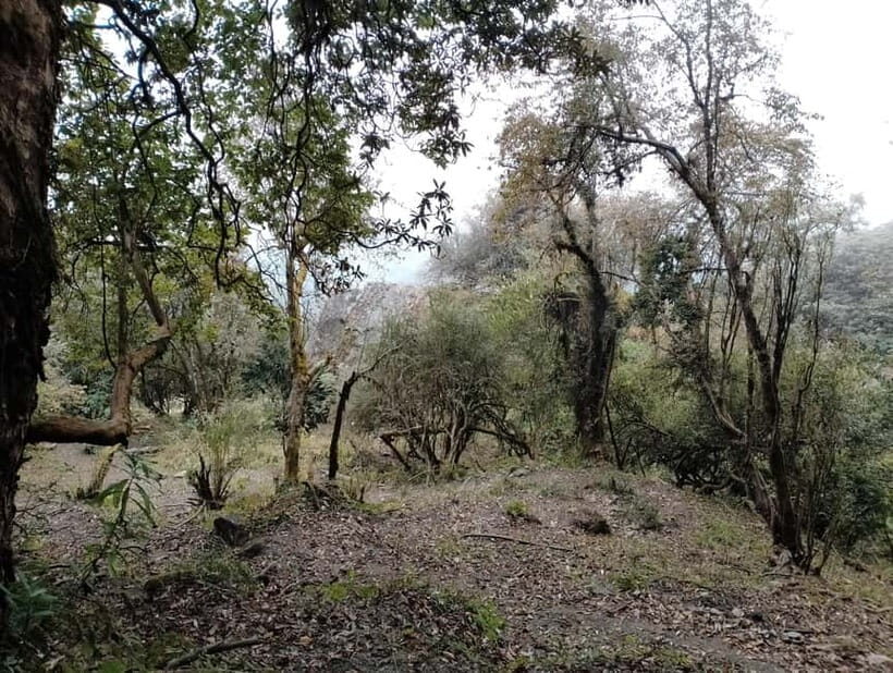 2 Day Poon Hill Trek with 2 Day Chitwan Jungle Safari Tour - FAQ