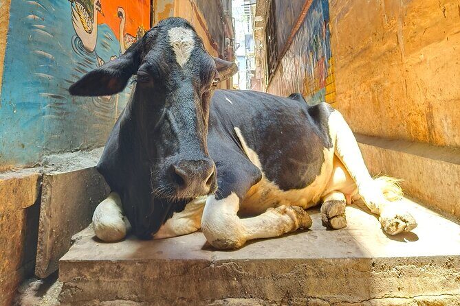 2 Day Private Mystical Varanasi Tour - Practical Details and Value