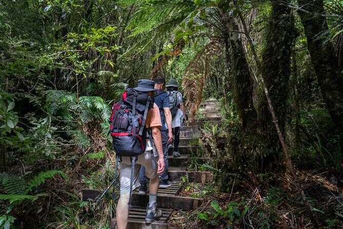 2-day Private Overnight Hurunui River Hot Springs Hike or Bike - An In-Depth Look at the Hurunui River Hot Springs Tour