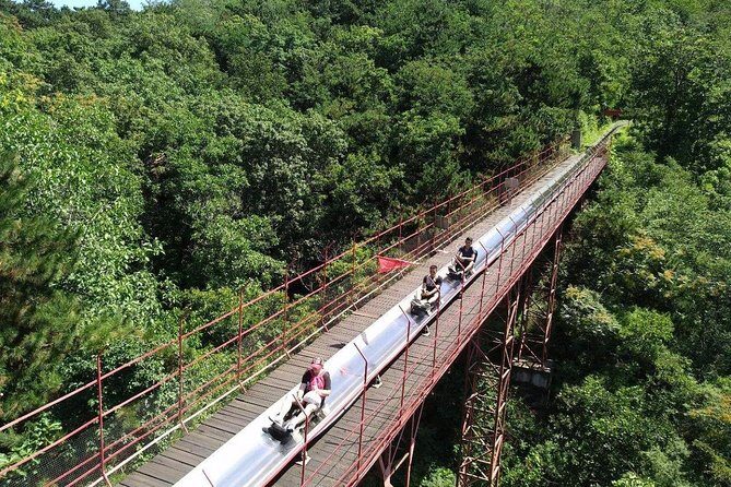2-Day Private Tour from Chengdu by Train and Air:Highlights of Xi'an and Beijing - The Value of This Experience