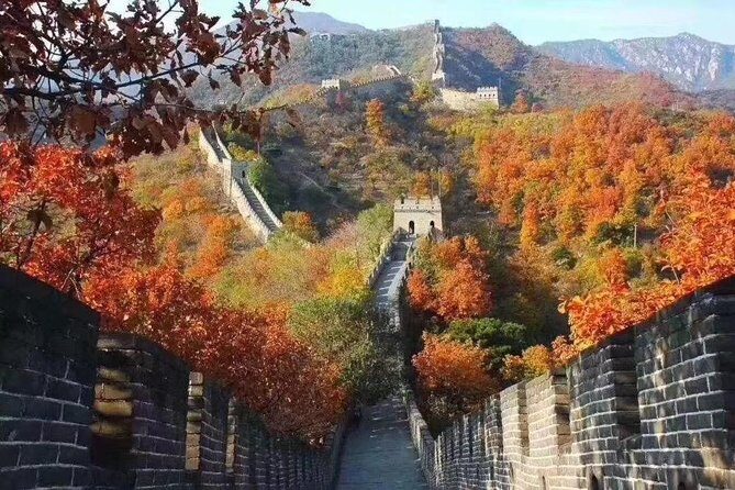 2-Day Private Tour from Shanghai by Air: Highlights of Xi'an and Beijing - Day 2: Beijing’s Imperial Grandeur