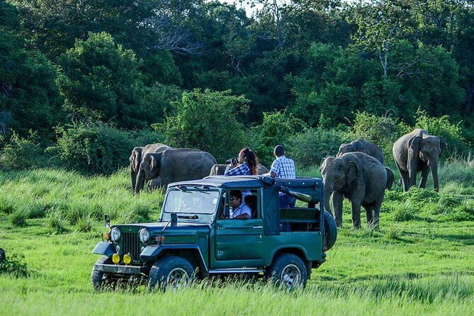 2 Day Private Tour of Udawalawe wild Safari & Galle Sightseeing - All Inclusive - The Itinerary in Detail