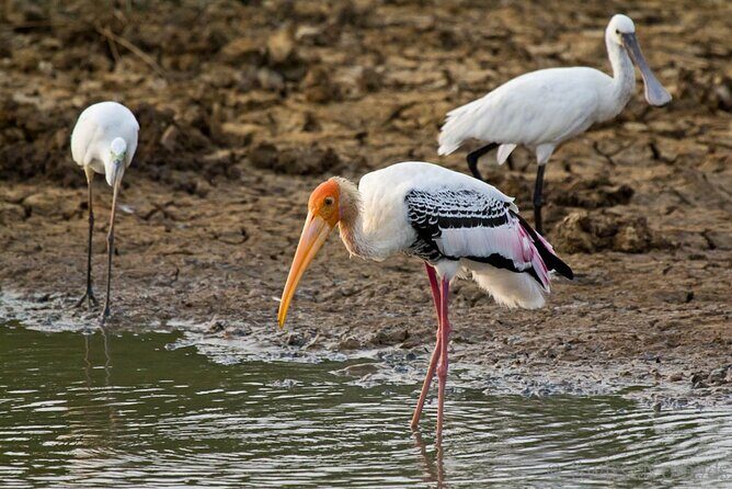 2 Day Private Tour of Yala wild Safari & Galle Sightseeing - All Inclusive - FAQ