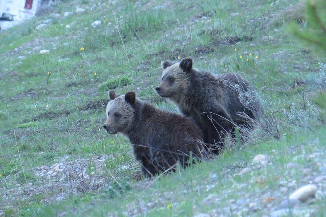 2-Day Private Tour of Yellowstone National Park Lower & Upper Loops - FAQ