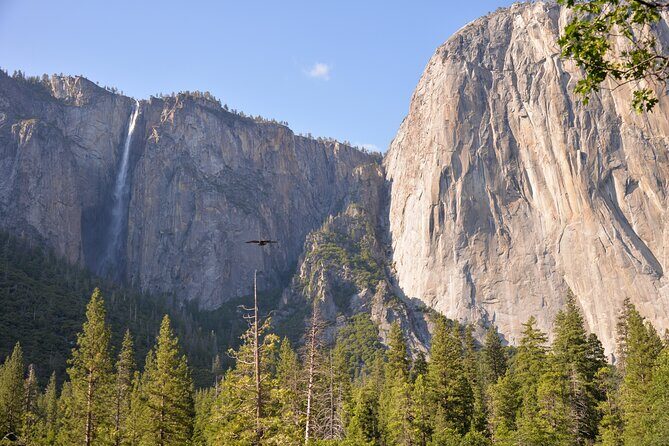 2 Day Private Tour to Yosemite National Park - Who Should Consider This Tour?