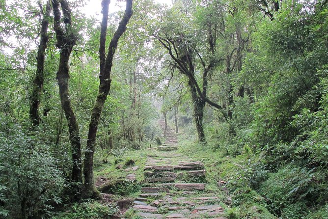 2-Day Private Trekking Tour to Australian Camp & Dhampus - Who Would Love This Experience?