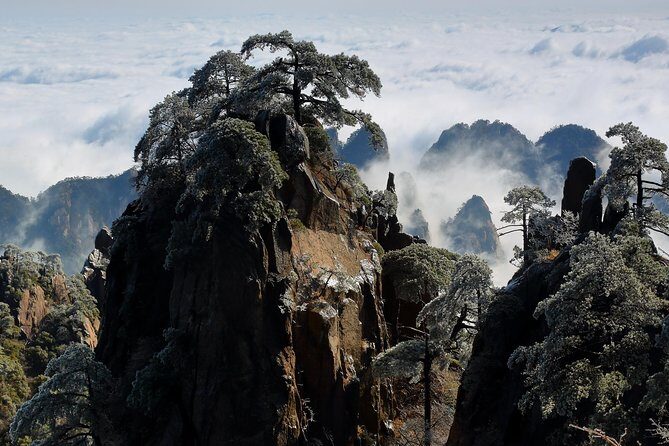 2-Day Private Trip to Huangshan and Hongcun from Shanghai with Accommodation - The Itinerary: What You Can Expect