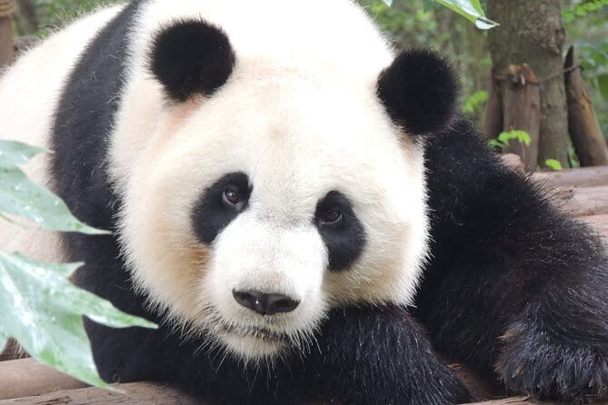2 Day Private Xian Tour from Beijing - FAQ