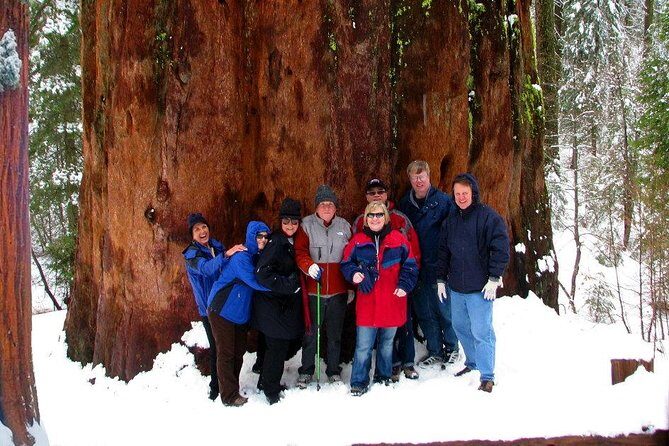 2-Day Private Yosemite Tour: Waterfalls, Sequoias and Glacier Pt - Final Thoughts: Is It Worth It?