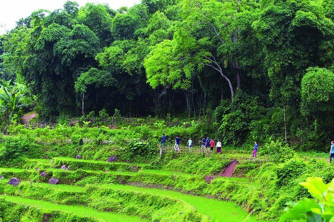 2-day Pu Luong Natural Reserve from Hanoi - What’s Included and What to Think About